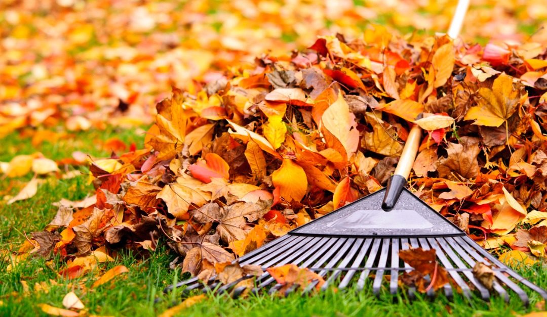 Tips For Leaf Raking RISMedia Tips For Leaf Raking RISMedia