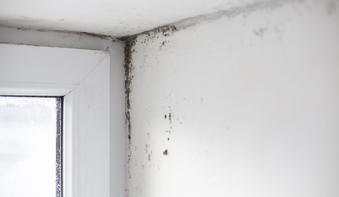 What Is Sick House Syndrome, and What Causes It? — RISMedia